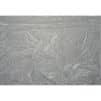 Silver Ridge Granite Slabs