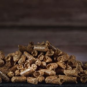 Natural Stone Guide: Types, Benefits & Design Ideas